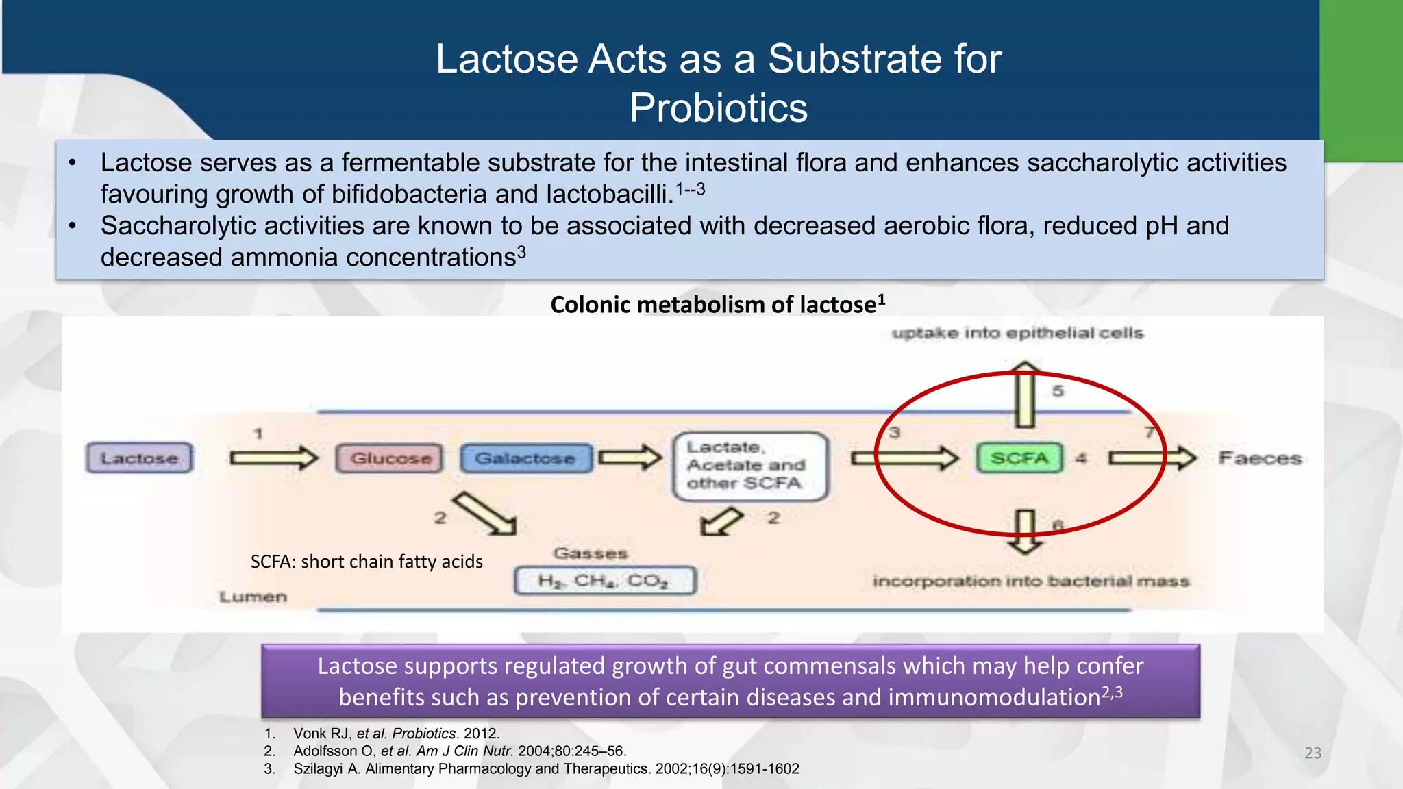 Lactose | PPTX