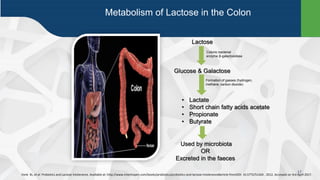 Lactose | PPTX