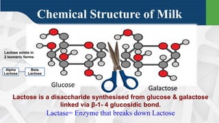 Lactose | PPTX
