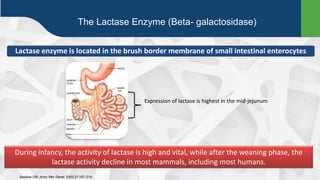 Lactose | PPTX