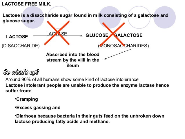 Lactose Sugar Molecules Of Taste Lactose