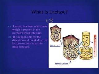 Ms. Shaikh Biology Unit Task | PPTX