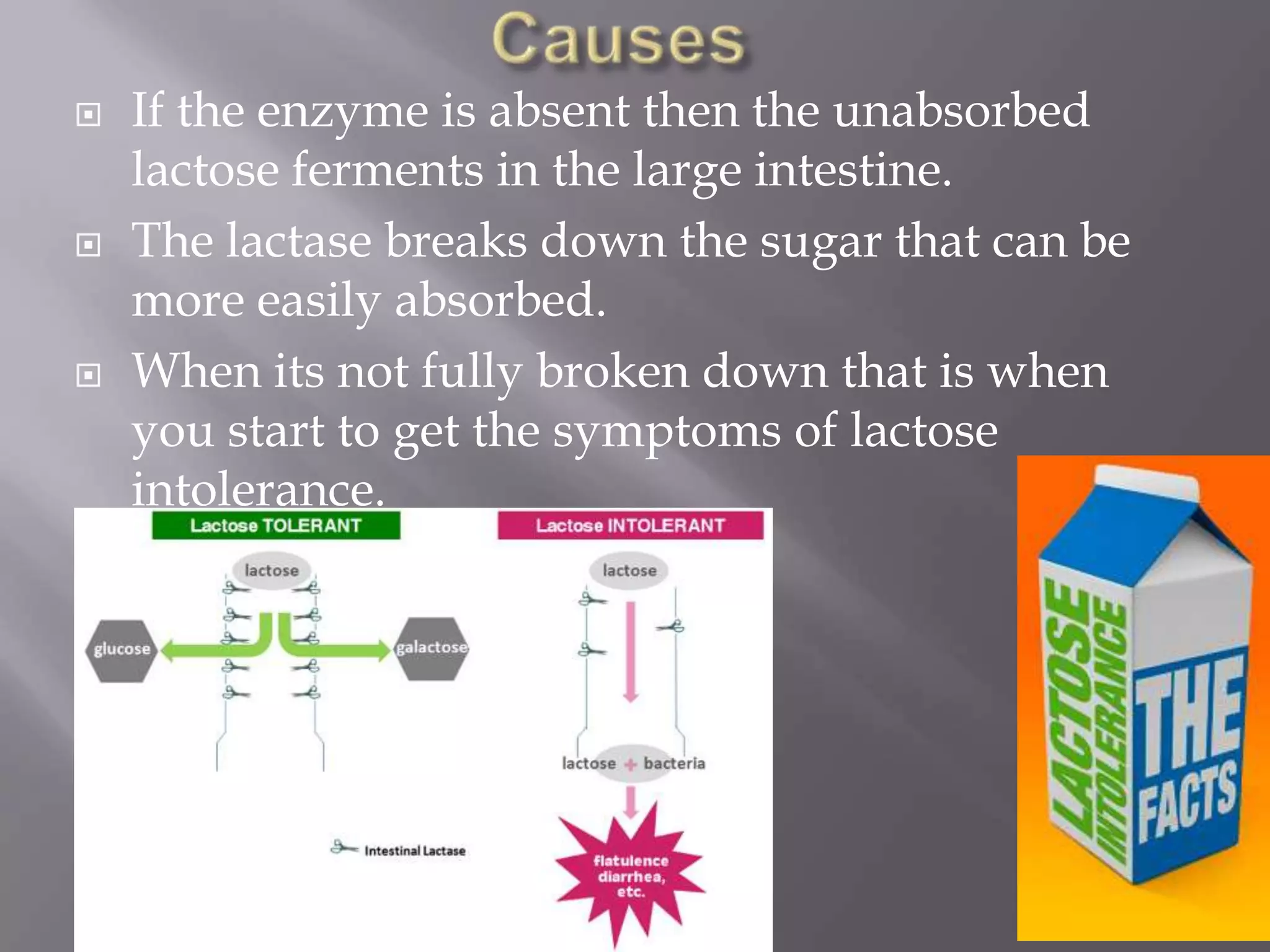 Lactose intolerance - Tia | PPTX