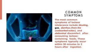 the Lactose Intolerance deficiency .pptx
