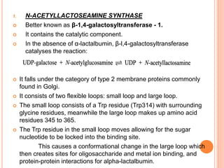 LACTOSE SYNTHASE.pptx