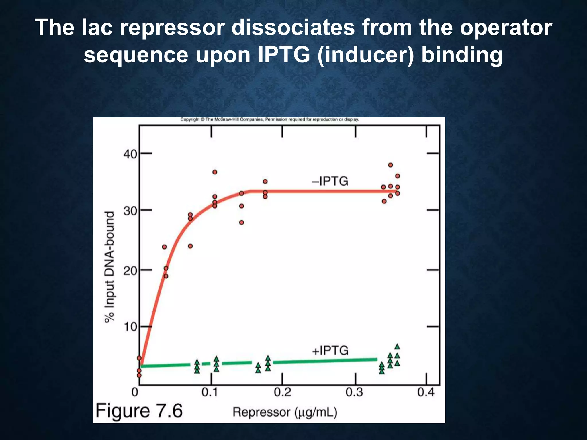 Lac & Trp operon | PPTX