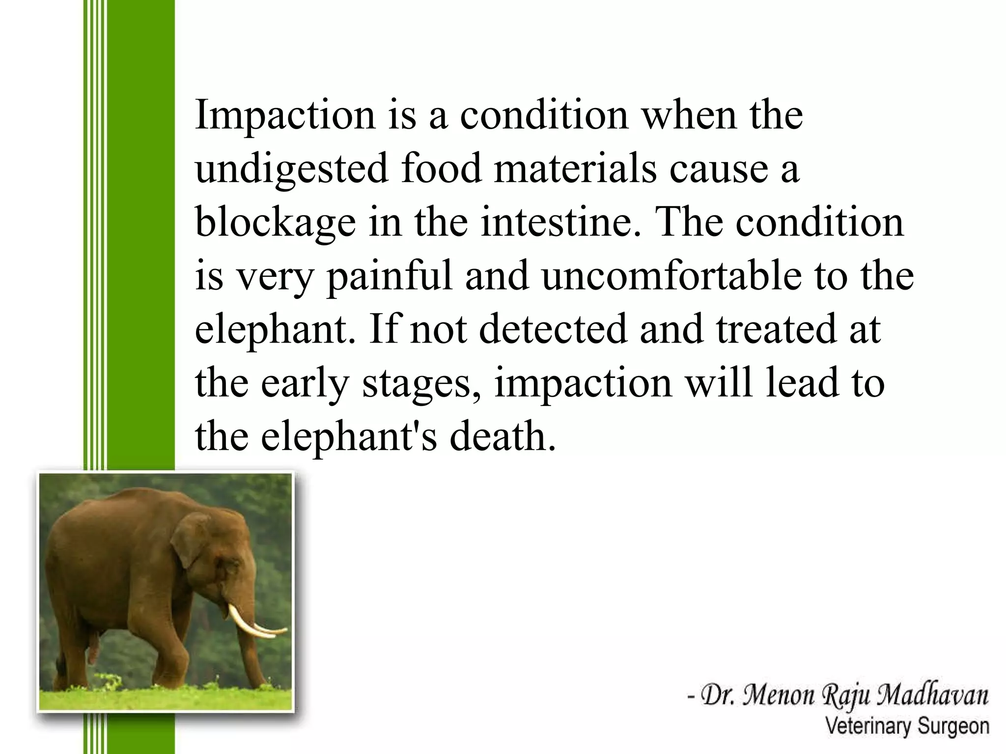Efficacy of Lactulose in the treatment of impaction in elephants | PPT