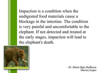Efficacy of Lactulose in the treatment of impaction in elephants | PPT