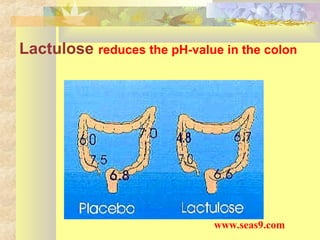 Lactulose The physiological bowel and stool regulator | PPT