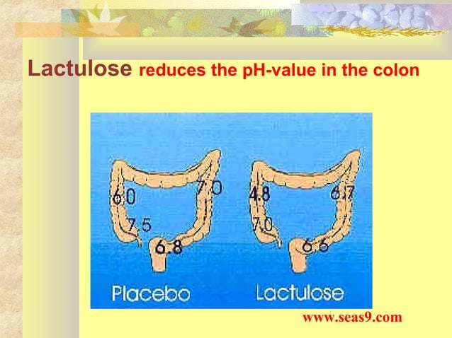 Lactulose The physiological bowel and stool regulator | PPT | Digestive ...