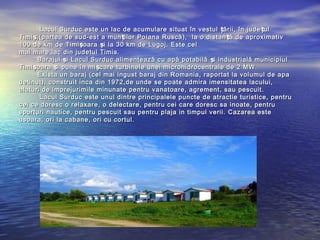 Lacul surduc | PPT