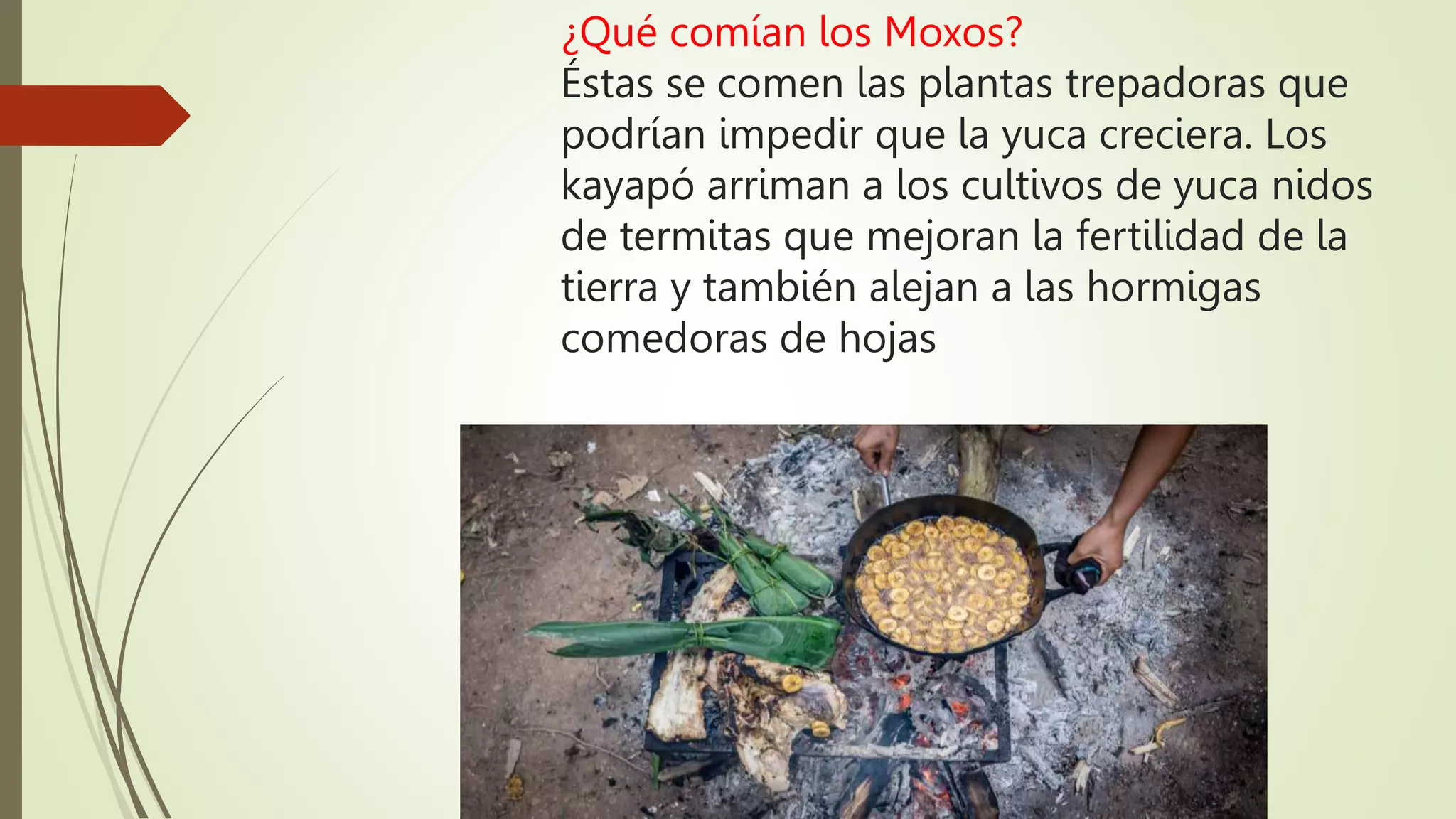 LA CULTURA MOXOS.pptx
