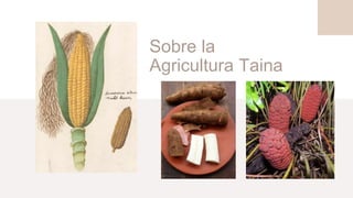 La Cultura Taina.pptx