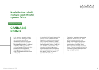 Lacuna Innovation: Cannabis Rising Report | PDF