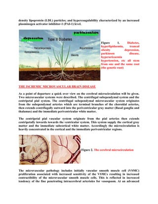 Radiological pathology of microvascular brain disease | PDF