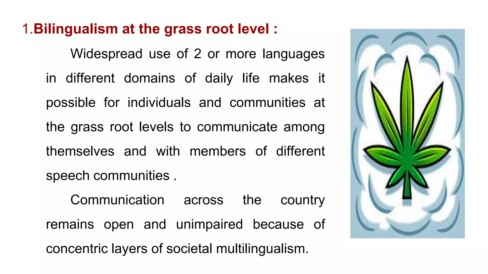 Multilingualism in India | PPTX