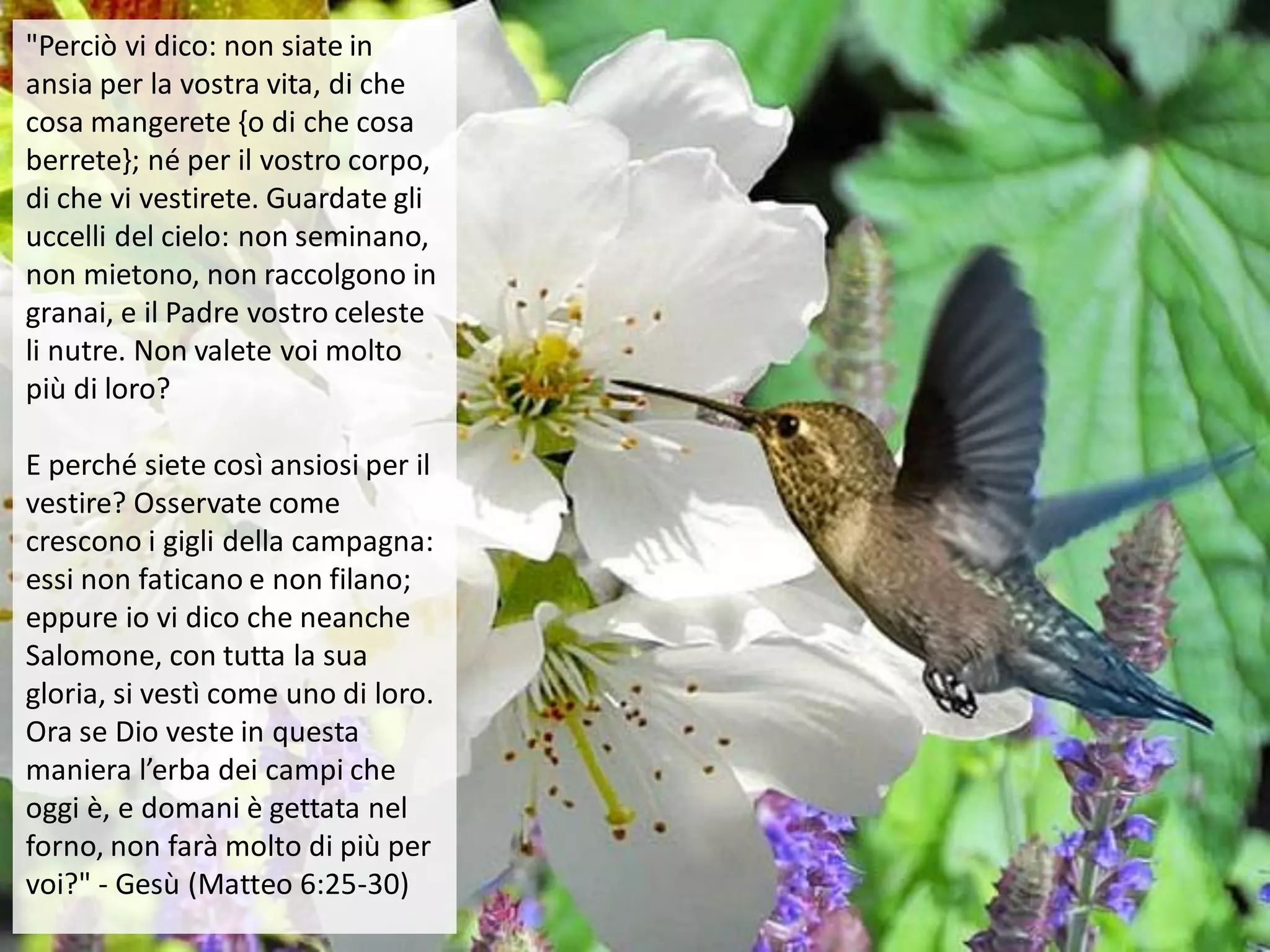 La cura e protezione di Dio all'opera | PPT