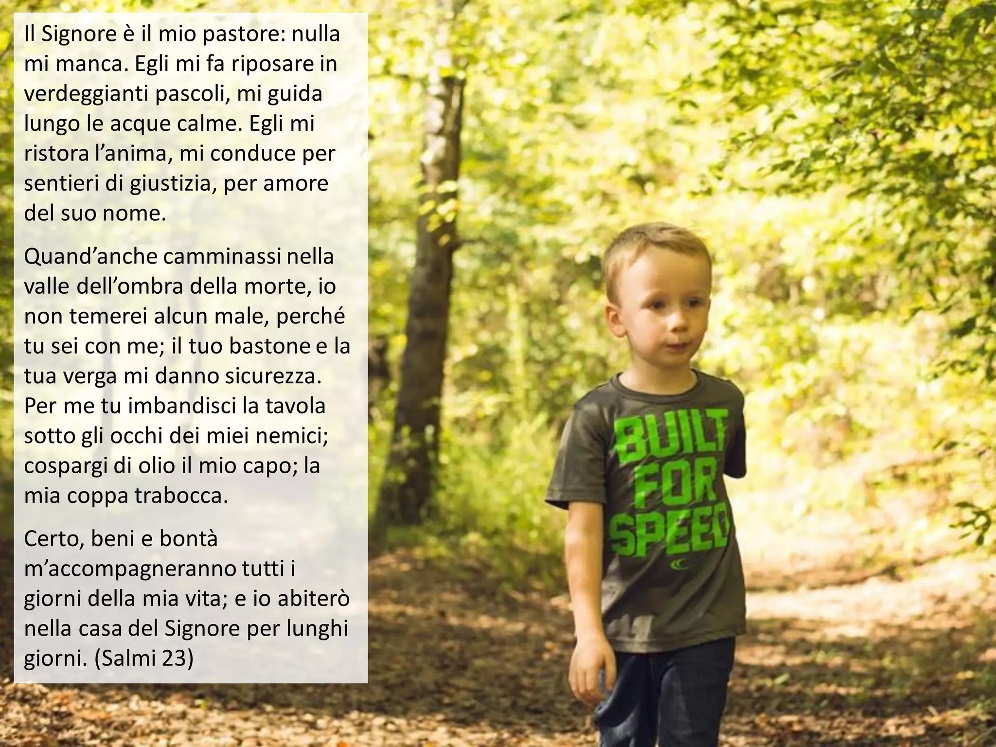 La cura e protezione di Dio all'opera | PPT