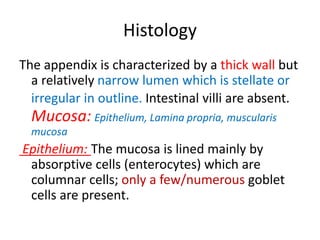 L acute appendicitis | PPTX