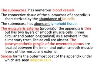 L acute appendicitis | PPTX