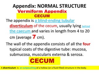 L acute appendicitis | PPT