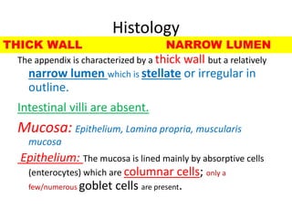 L acute appendicitis | PPT