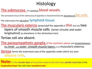 L acute appendicitis | PPT