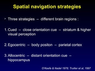 Differences in spatial navigation among patients with various neurodegenerative dementias | PPT