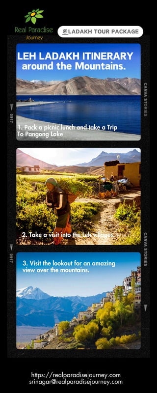 Ladakh Tour Package Travel Infographic.pdf