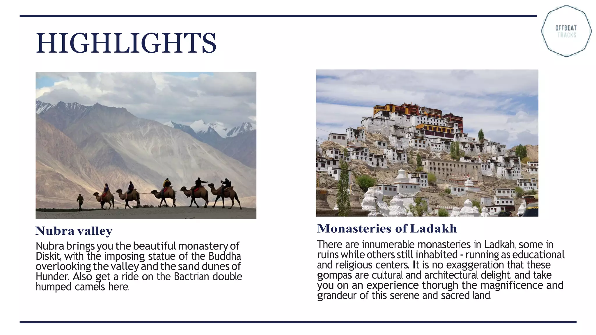 Ladakh travel guide | PDF