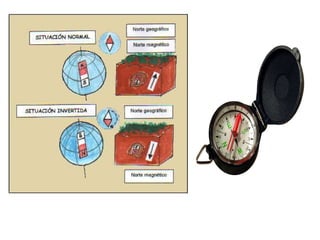 Datación de fósiles | PPT | Geology | Science