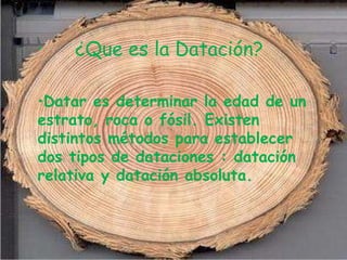 Datación de fósiles | PPT