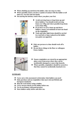 Ladder handout | PDF | Climbing | Extreme Sports