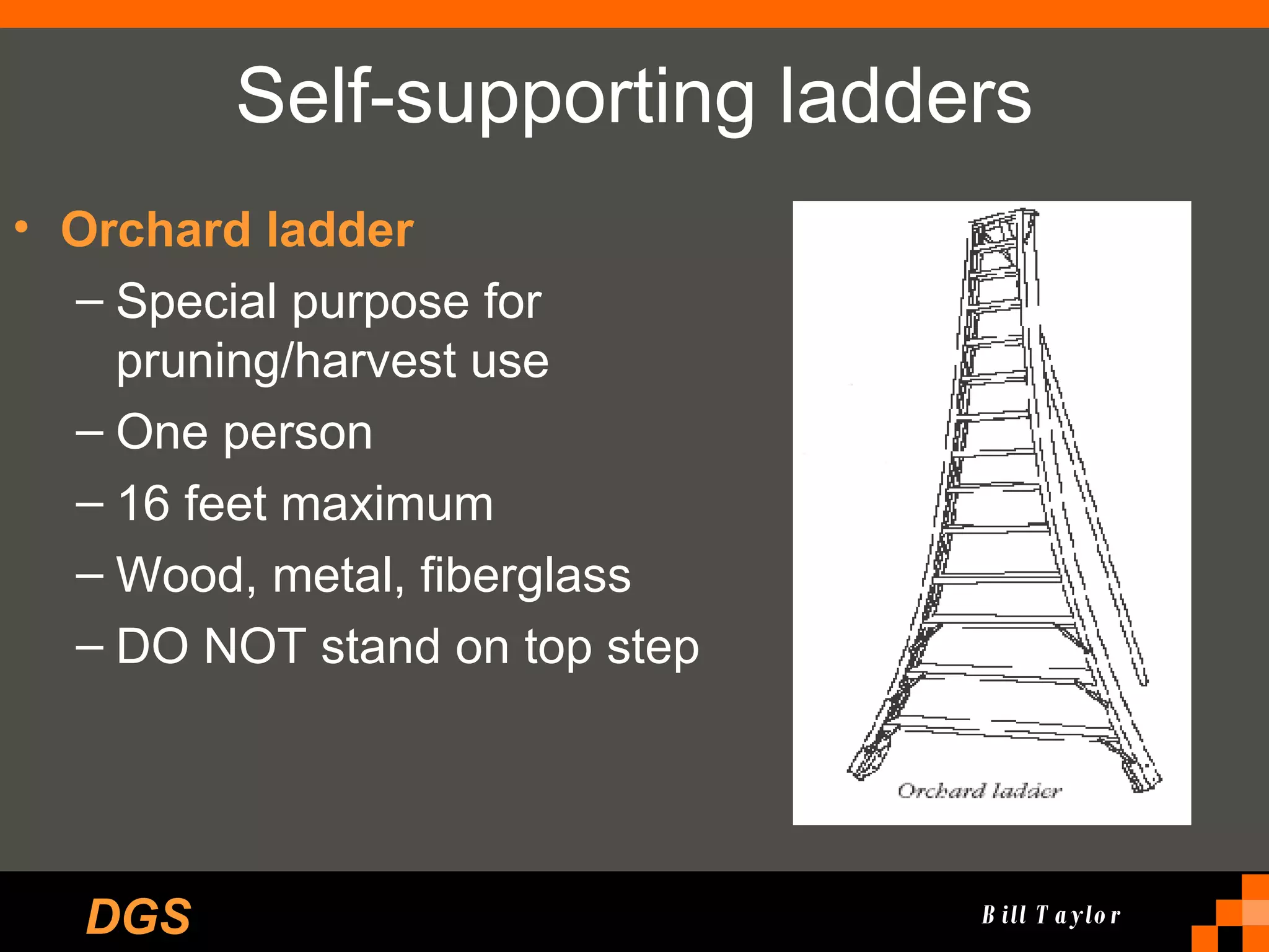 Ladder Safety | PPT