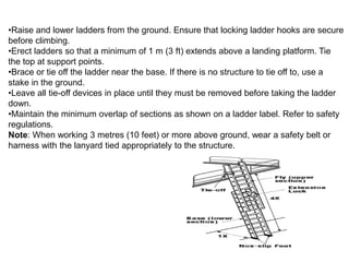 Ladder safety | PPTX