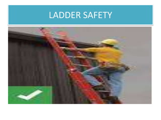 Ladder safety | PPTX