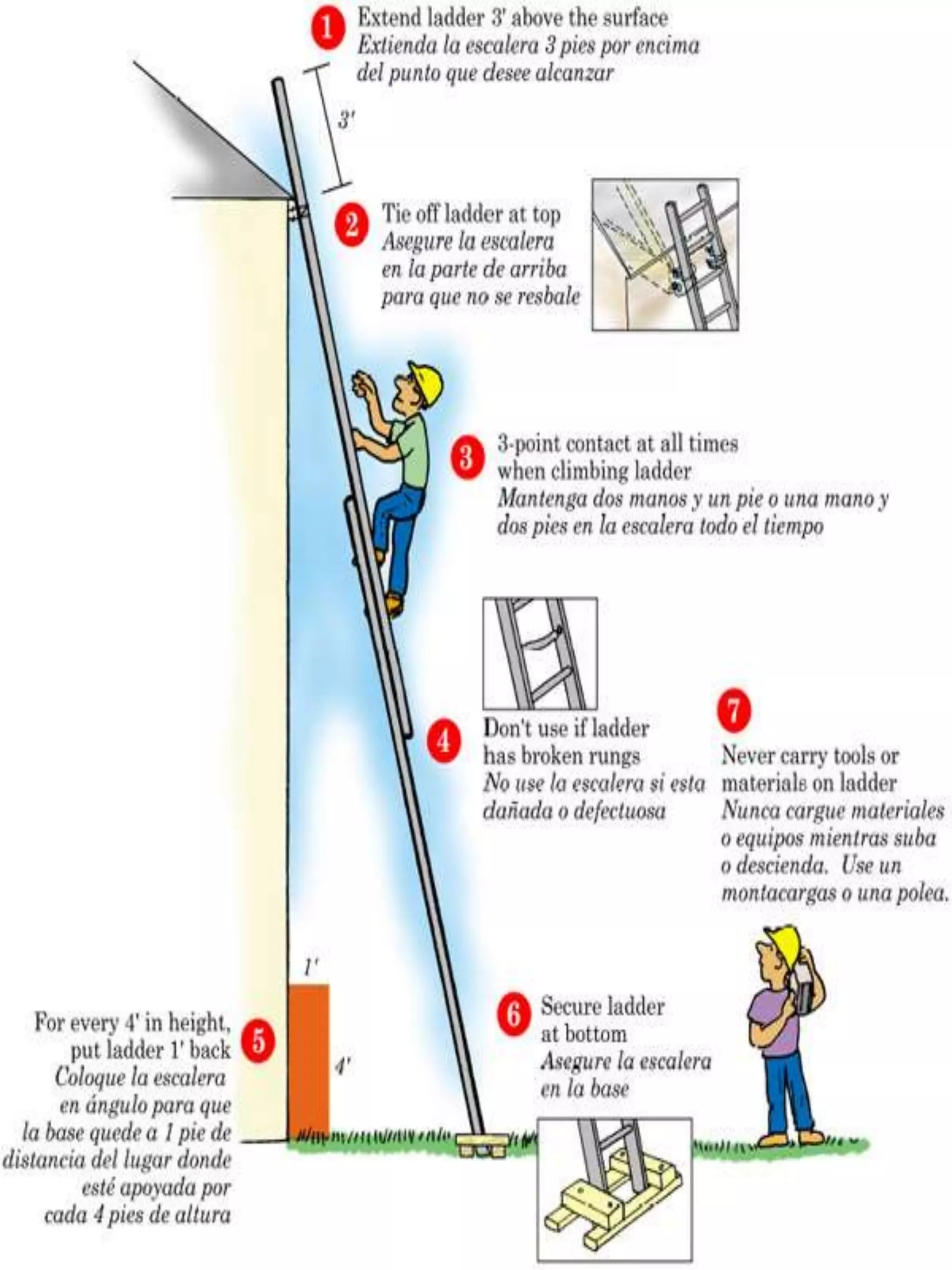 Ladder safety Posters - Syed Owais Mukhtar | PPTX