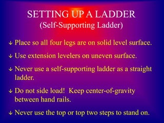 Laddersafety[1] | PPT