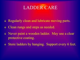 Laddersafety[1] | PPT