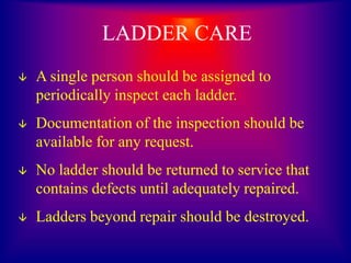 Laddersafety[1] | PPT