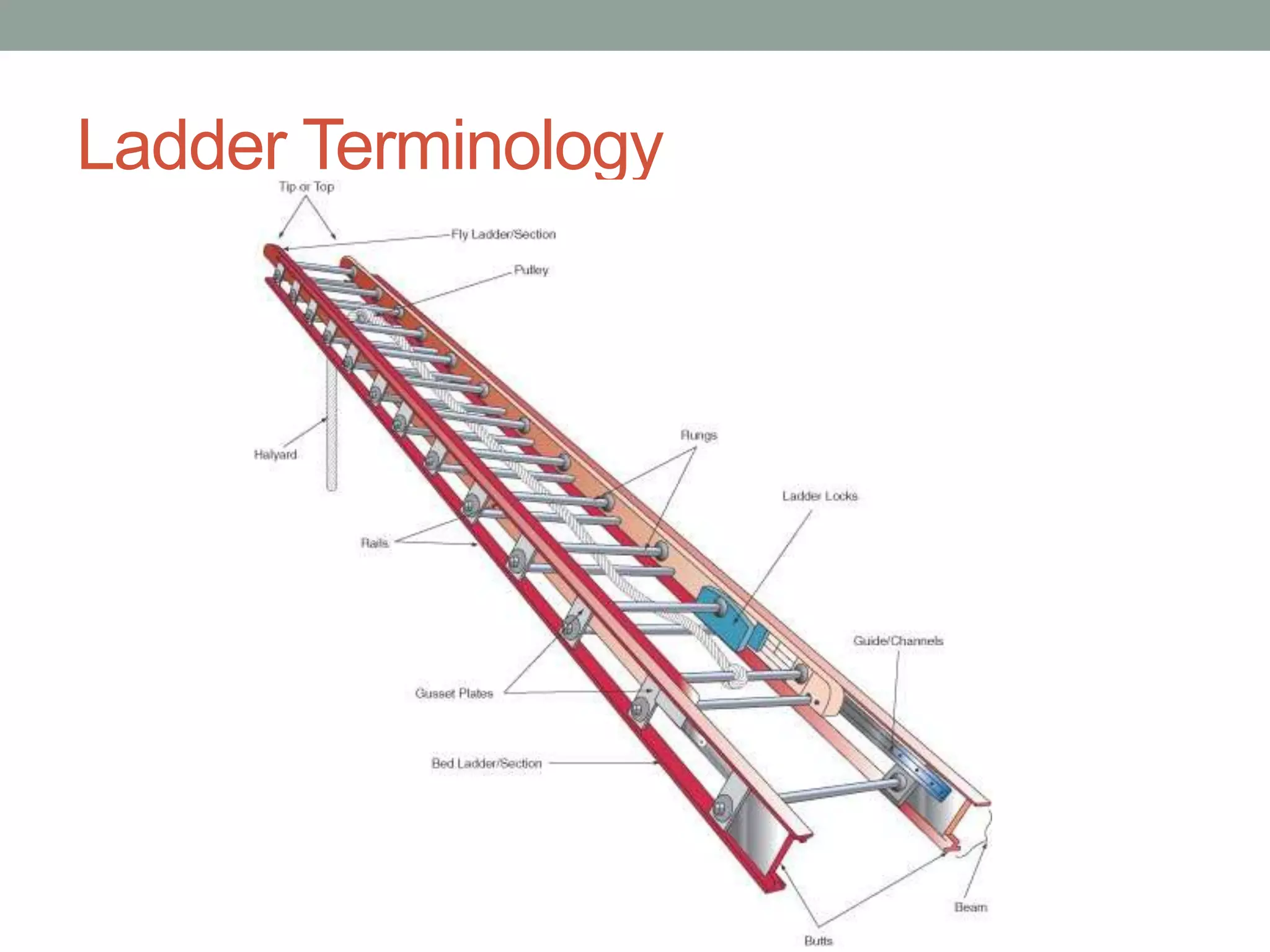 Ladders and advancing a hose line | PPTX