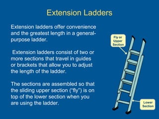 Ladders Safety module2 | PPT
