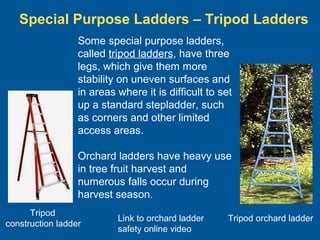 Ladders Safety module2 | PPT | Climbing | Extreme Sports