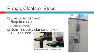 Rooftop Ladders 2018 | PPT