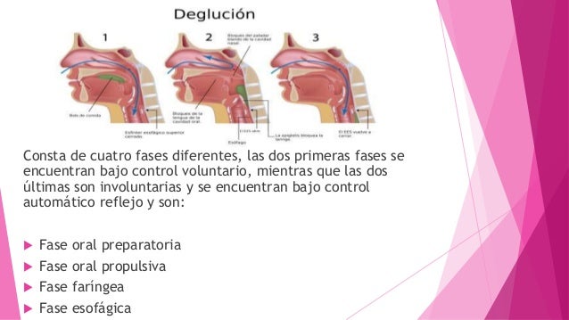 La deglucion