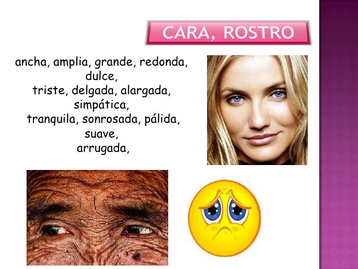 La descripción "El Retrato"