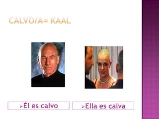 La descripci n_f_sica | PPTX