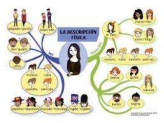 La descripción física de las personas | PPTX