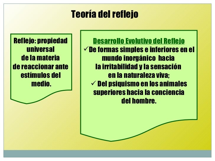 Descubre la Teoría del Reflejo: Todo lo que necesitas saber ★ Teoría Online