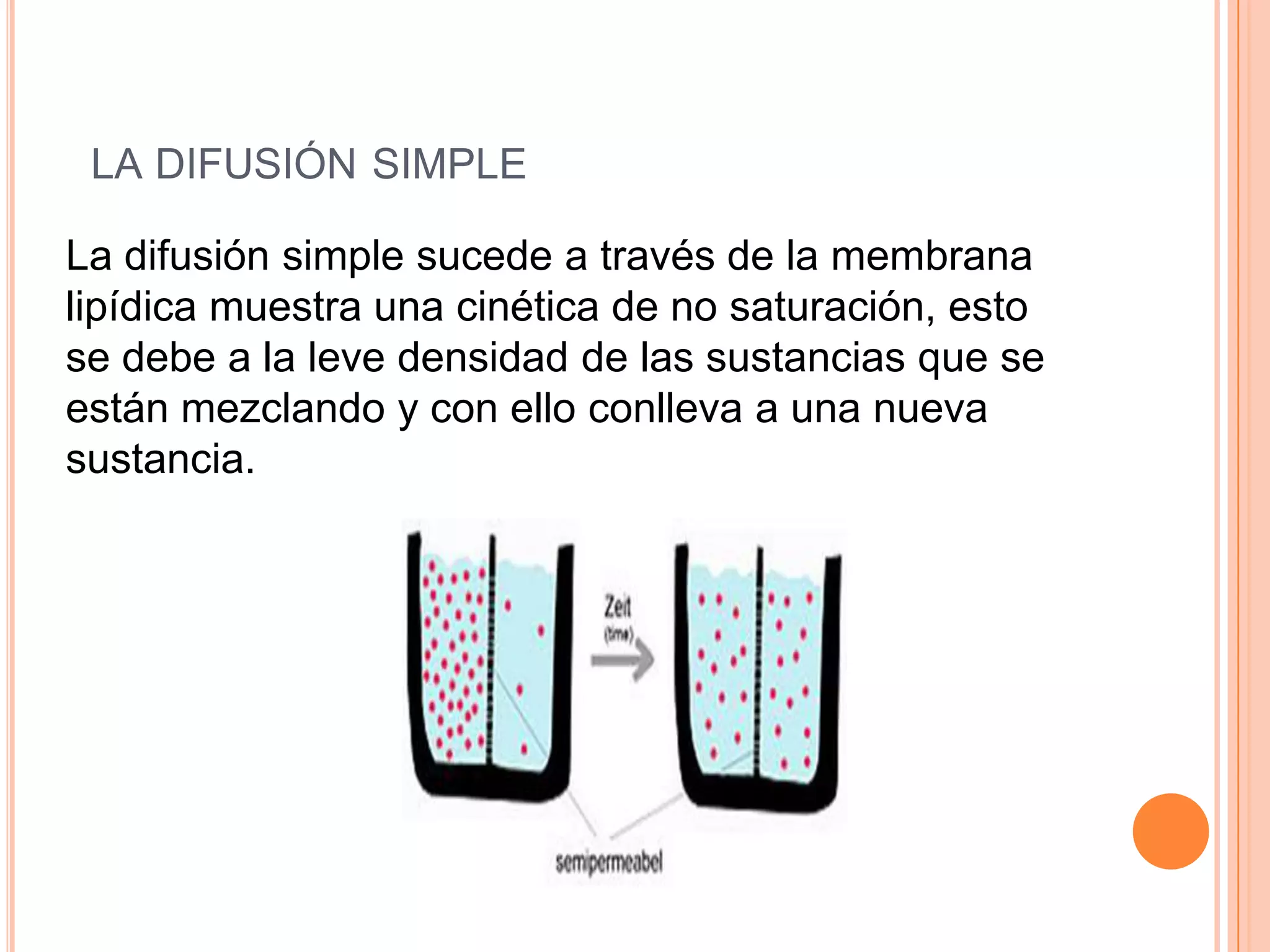 La difusión | PPTX | Physics | Science